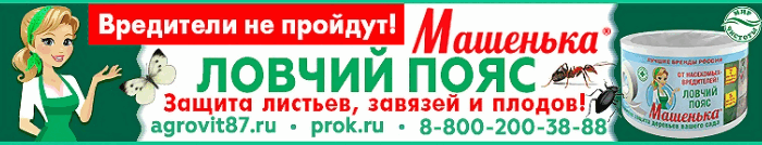 Садовый Мир - новости для садоводов и дачников. Выставки, интересные ...